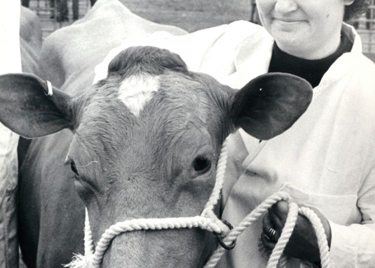 Royal Cornwall Show | Cornwall For Ever!