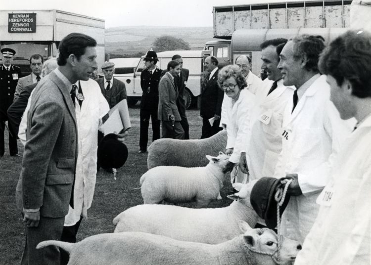 Royal Cornwall Show | Cornwall For Ever!