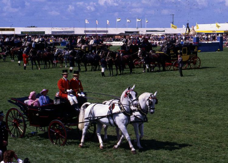 Royal Cornwall Show | Cornwall For Ever!