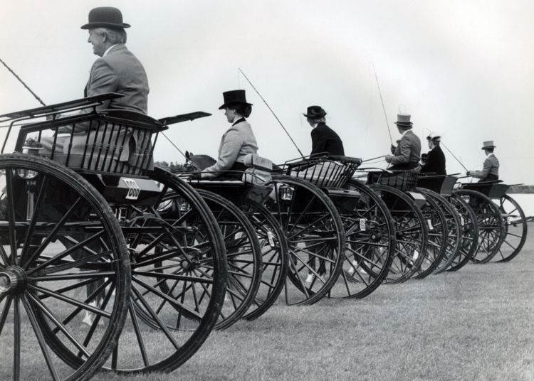 Royal Cornwall Show | Cornwall For Ever!